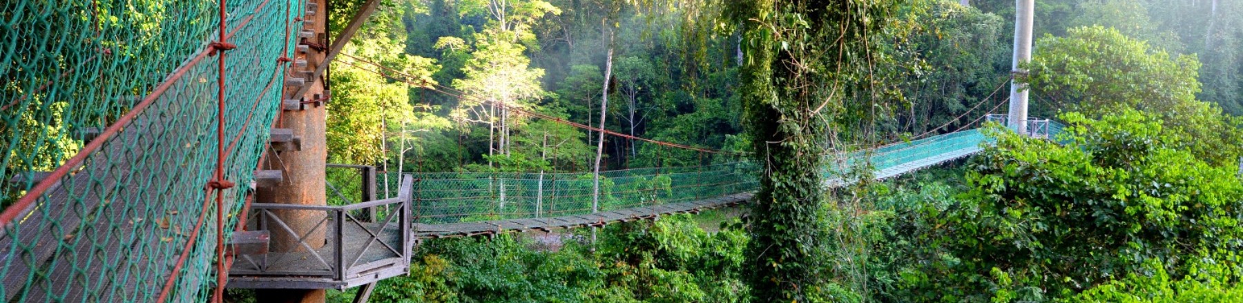 Danum Valley - Destinations in Malaysia - MalaysiaTours.com