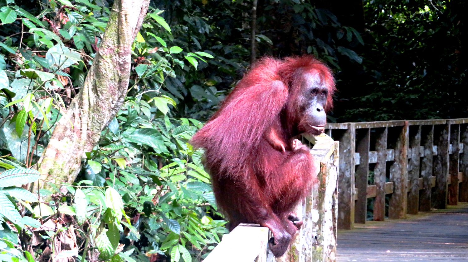 Destinations in Malaysia - MalaysiaTours.com