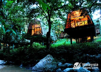 Borneo Highlights: Kuching, Mulu, Kota Kinabalu, Tabin Rainforest ...