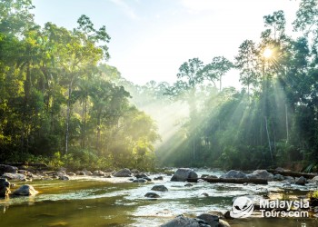 Welcome to MalaysiaTours.com - MalaysiaTours.com