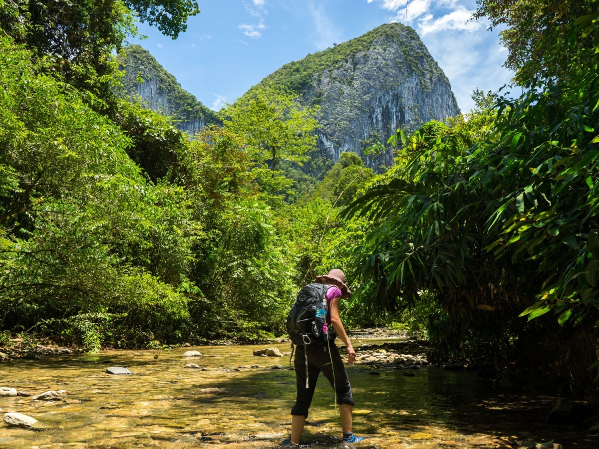 Exploring Malaysia’s Natural Wonders: The Best National Parks ...